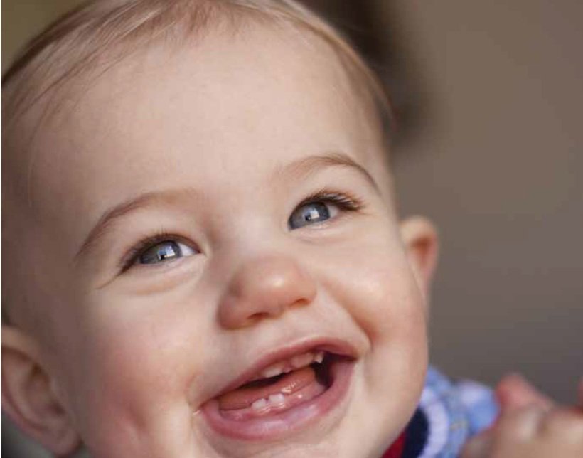 Primary Baby Teeth